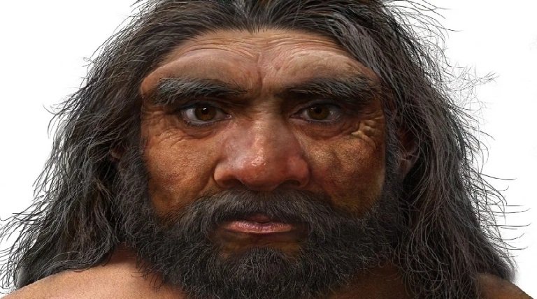 Scientists hail stunning 'Dragon Man' discovery - Pressmediaofindia