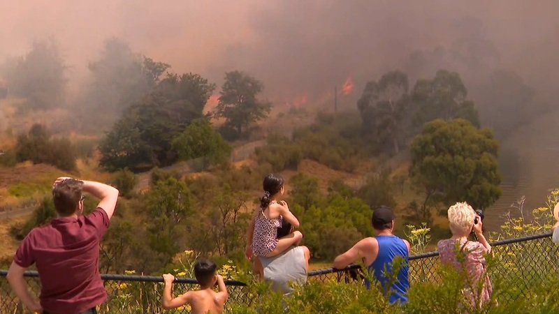 Large fire in Melbourne comes within metres of homes - Pressmediaofindia
