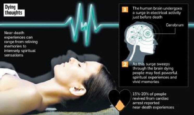 ‘Human brain experiences right before death’ – Pressmediaofindia