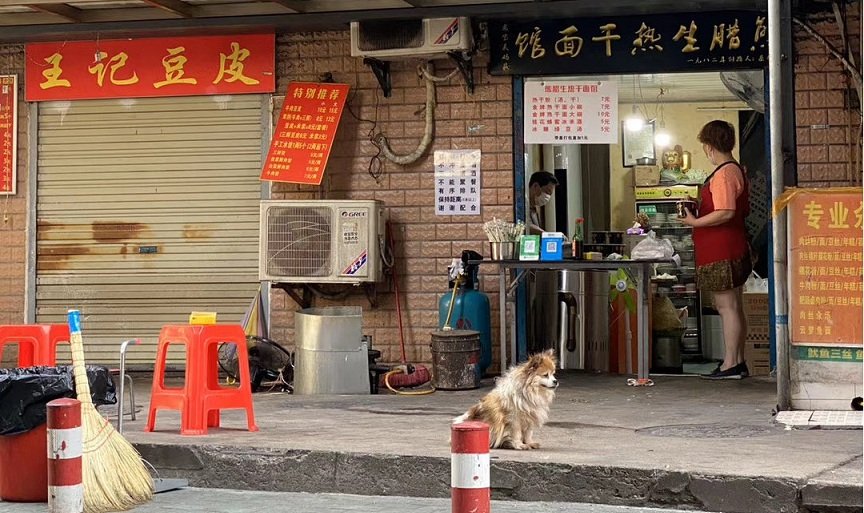 Record wave of COVID sparks more curbs across China - Pressmediaofindia