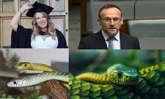 Australian scientists discover clitorises in female snakes ...