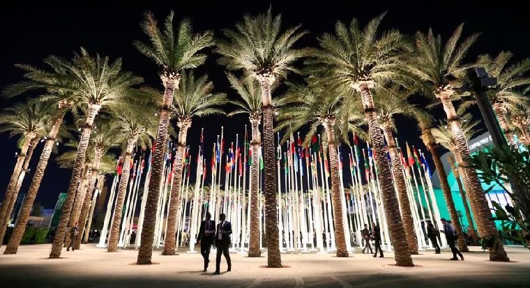 Al Gore Slams Cop28 Climate Summit Host Uae Pressmediaofindia