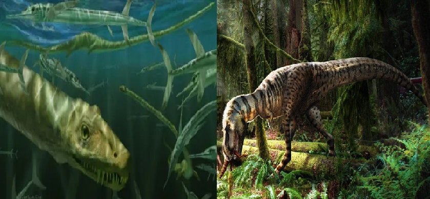 Fossil reveals 240 million year-old 'dragon' - Pressmediaofindia